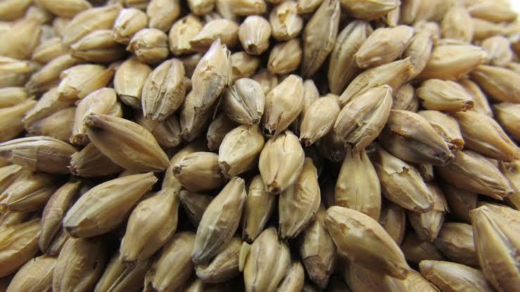 Peat Smoked Malt - 1kg Grain — Distillery King Australia